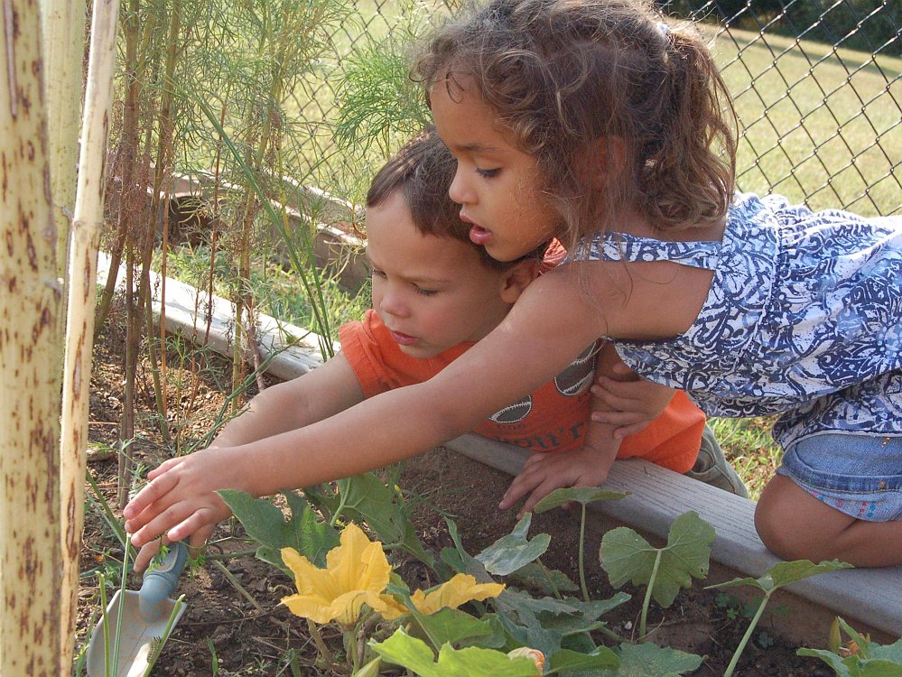 Tennessee Early Childhood Training Alliance (TECTA) | Chattanooga State Community College
